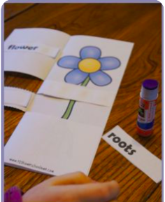 SPRING ACTIVITIES! – The Wilson School of English