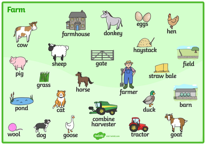 On the Farm! – The Wilson School of English